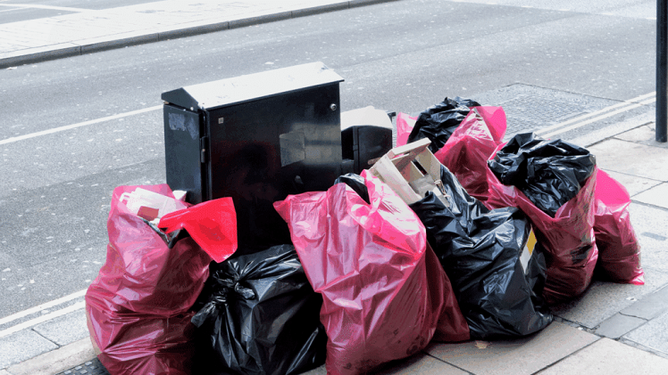 Rubbish Removal Made Simple: Why More Australians Are Switching to Blue ...